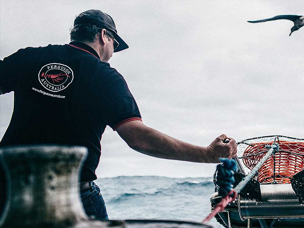 慕思(DE RUCCI)标志Logo设计含义，品牌策划vi设计介绍 - 德启广告